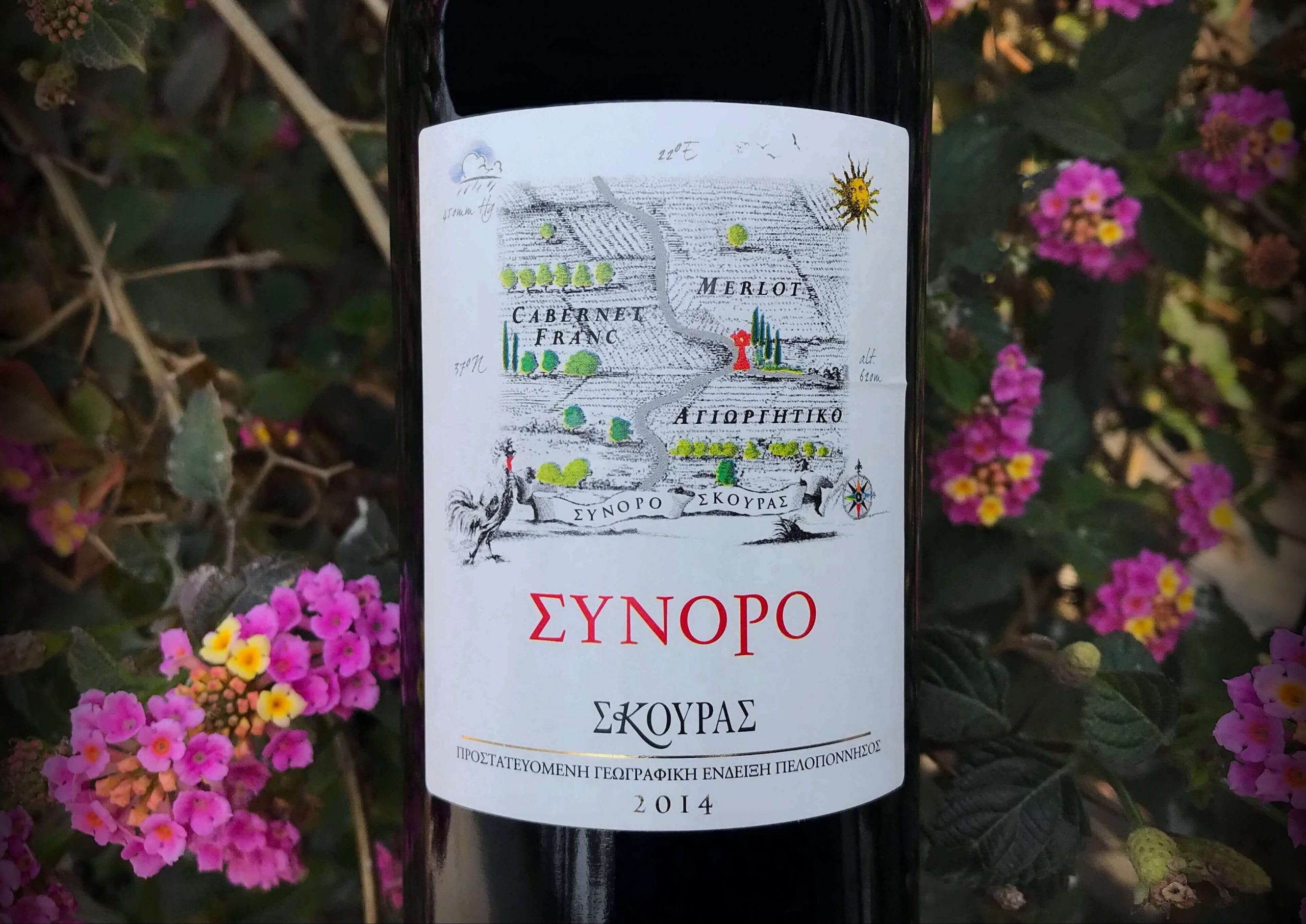 ΣΥΝΟΡΟ ΑΠΟ ΤΟ ΚΤΗΜΑ ΣΚΟΥΡΑ - Wine Taster