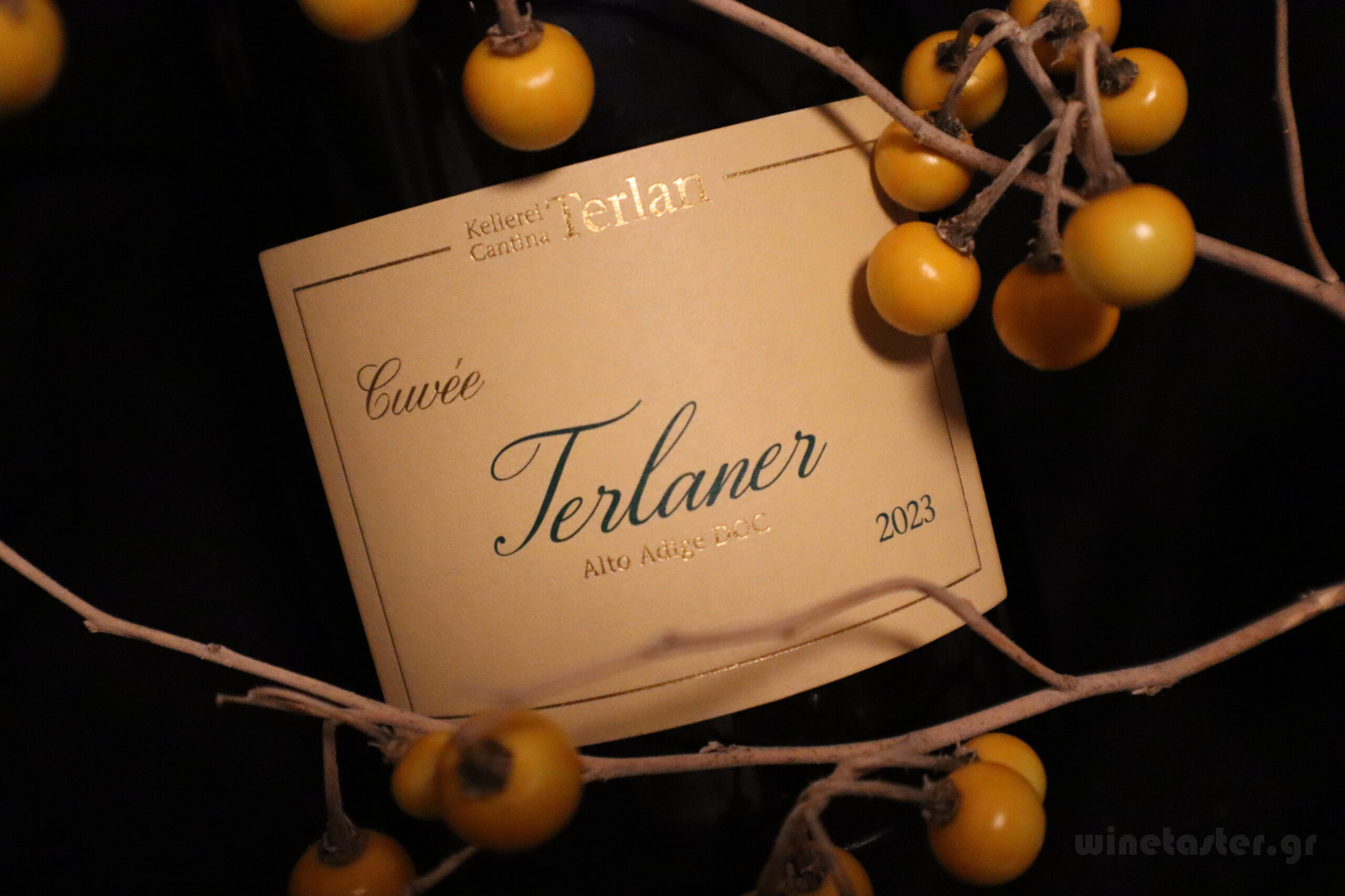 CANTINA TERLAN TERLANER 2023 - Wine Taster